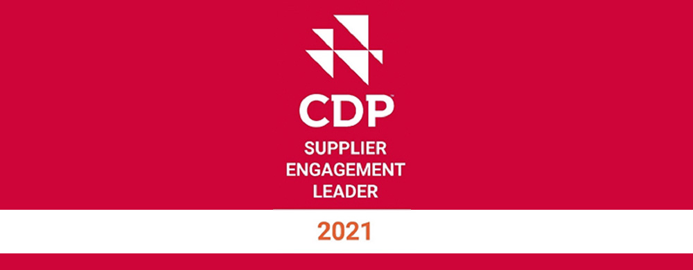 Logo del CDP